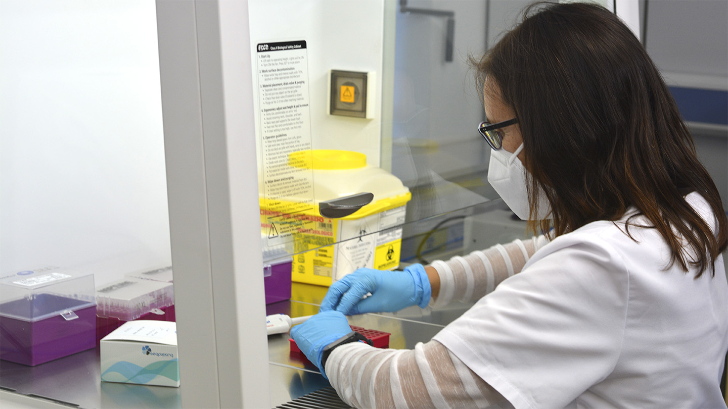 La biotecnológica Seqplexing desarrolla kits para detectar la presencia del Sars-CoV-2 en ...